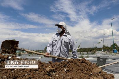 No Protective Equipment for Cemetery Workers